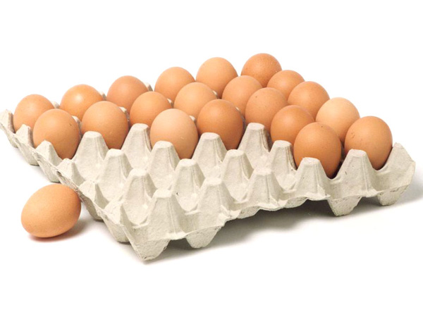 How To Make Egg Trays At Home 24 h Online Reply