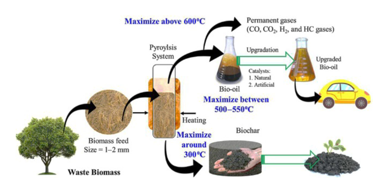 What is Pyrolysis of Biomass? - Beston Company