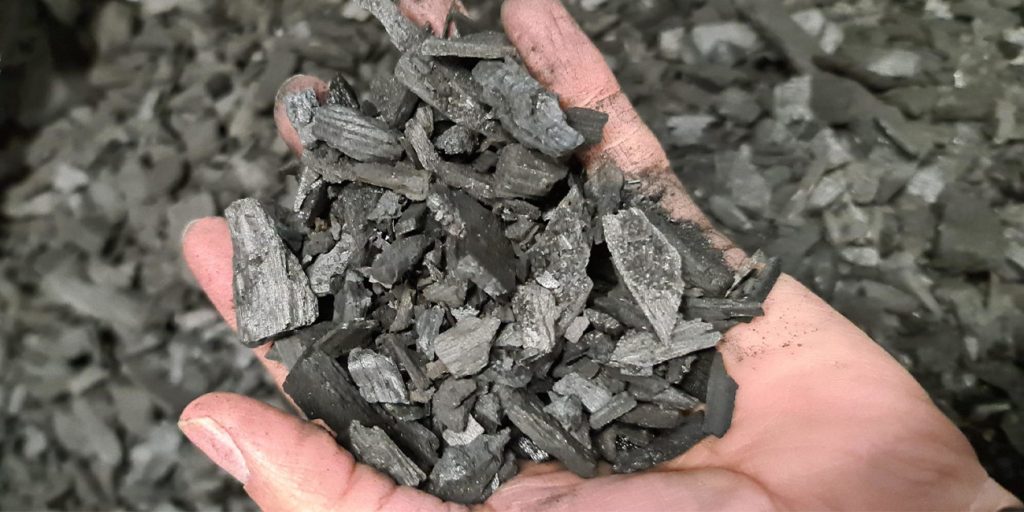 Alimentación animal con biocarbón: enfoque sostenible para la ganadería